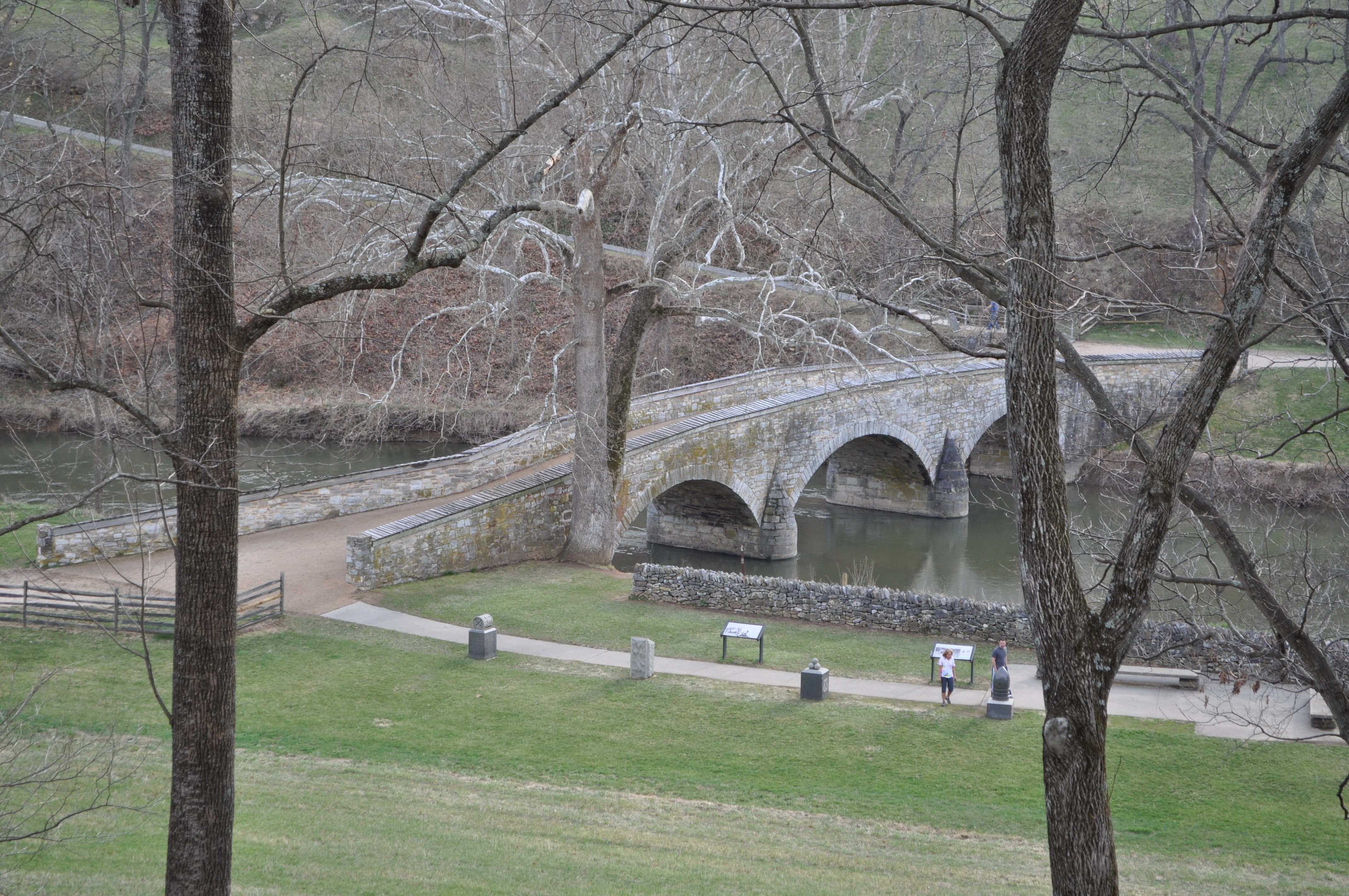 The Witness Tree at Antietam | Enfilading Lines